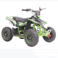 China 500W Electric ATV Tricycle Motorcycle Front and Rear Disc Brake System for Passenger for sale