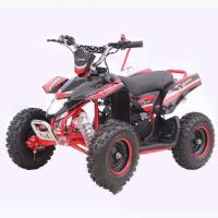 China 500W Electric ATV Tricycle Motorcycle Front and Rear Disc Brake System for Passenger for sale