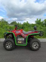 China 230CC 2WD Gas Powered ATV Quad Bike with 21*7-10/22*7-10 Tire Size Direct Sell for sale