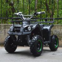 China 800W Electric ATV for Kids and Adults Take Your Off-Road Adventures to the Next Level for sale