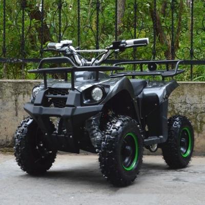 China 800W Electric ATV for Kids and Adults Take Your Off-Road Adventures to the Next Level for sale