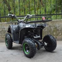 China 800W Electric ATV for Kids and Adults Take Your Off-Road Adventures to the Next Level for sale