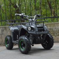 China 800W Electric ATV for Kids and Adults Take Your Off-Road Adventures to the Next Level for sale