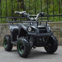 China 800W Electric ATV for Kids and Adults Take Your Off-Road Adventures to the Next Level for sale
