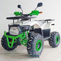 China 36V Mini Electric ATV Outdoor Quad for Kids and Adults 800W Shaft Drive Off-Road Bike for sale