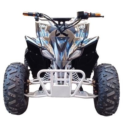 China Loading Capacity 400-1000kg Convenient Electric Four-Wheel Bicycle 800w Beach Vehicle for sale