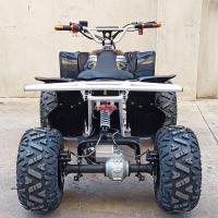 China Loading Capacity 400-1000kg Convenient Electric Four-Wheel Bicycle 800w Beach Vehicle for sale