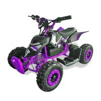 China Disc Brake 500w Mini Sport ATV 4 Wheeler Electric Quad Bike Buggy for Kids Adult for sale