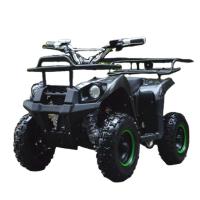 China 500-800W Shaft Drive Motor Electric Mini ATV Buggy 4 Wheel Quad Bike for Kids and Adults for sale