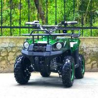 China 500-800W Shaft Drive Motor Electric Mini ATV Buggy 4 Wheel Quad Bike for Kids and Adults for sale