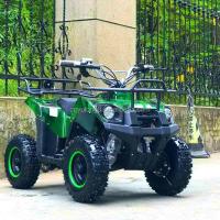 China 500-800W Shaft Drive Motor Electric Mini ATV Buggy 4 Wheel Quad Bike for Kids and Adults for sale