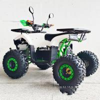 China Kids and Adults 50CC Off-Road Gasoline Motorcycle 2-Stroke ATV with Passenger Seat for sale
