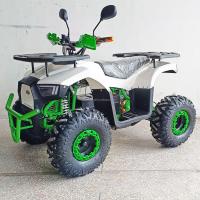 China Kids and Adults 50CC Off-Road Gasoline Motorcycle 2-Stroke ATV with Passenger Seat for sale