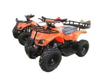 China 500w 36v Electric Kids Quad Bike with CE Battery and ATV Function Speed 30-50km/h 120kg for sale