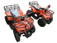 China 500w 36v Electric Kids Quad Bike with CE Battery and ATV Function Speed 30-50km/h 120kg for sale