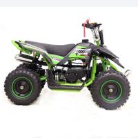 China Mini Children's Electric ATV 36V 24V 350W 500W 800W 1000W for Adults in Various Colours for sale