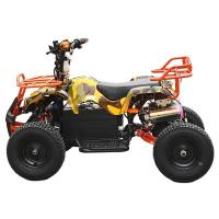 China Electric ATV 800W 1000w Quad Bike for Kids and Adults Driving Mileage 30-50km Voltage 36V for sale