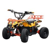 China Electric ATV 800W 1000w Quad Bike for Kids and Adults Driving Mileage 30-50km Voltage 36V for sale