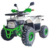 China 400-1000kg Loading Capacity 800W 1000W Quad Bike Electric ATV for Kids and Adults for sale