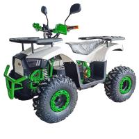 China 400-1000kg Loading Capacity 800W 1000W Quad Bike Electric ATV for Kids and Adults for sale