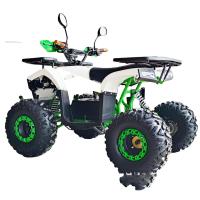 China 400-1000kg Loading Capacity 800W 1000W Quad Bike Electric ATV for Kids and Adults for sale