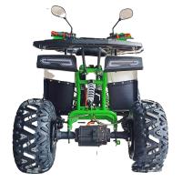 China 400-1000kg Loading Capacity 800W 1000W Quad Bike Electric ATV for Kids and Adults for sale