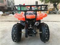 China Affordable 49cc 50cc 125cc Petrol Engine 4 Wheel Quad Bikes ATV for Children and Adults for sale