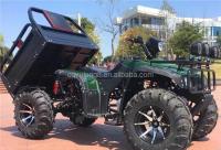 China Off Road Four Wheel Motorcycle Cargo ATV UTV with and Payload Capacity of 100-200kg for sale