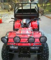 China Off Road Four Wheel Motorcycle Cargo ATV UTV with and Payload Capacity of 100-200kg for sale