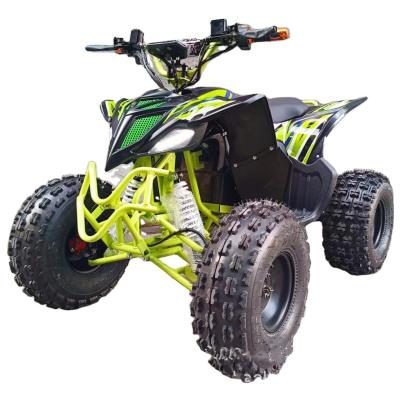 China Hot 750w 1000w Electric Moto Buggy Car for Kids and Adults 60v 4x4 Quad Side by Sides for sale