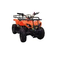 China Max speed 80km/h 4 wheeler 125cc 200cc 2 stroke gas moto bike for kids and adults for sale