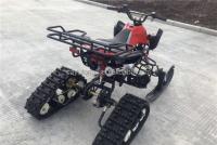 China 110cc 200cc Mini Buggy Scooter Snow Motorcycle Quad Bike with Curb Weight 200-300kg for sale