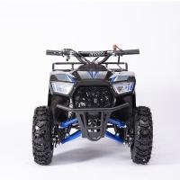 China Fuel Electric Mini ATV 49cc Chain Motor Power 2WD Drive for Children's Adventure for sale