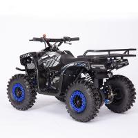 China Fuel Electric Mini ATV 49cc Chain Motor Power 2WD Drive for Children's Adventure for sale
