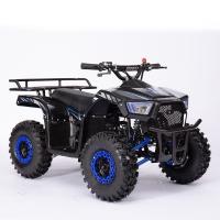 China Fuel Electric Mini ATV 49cc Chain Motor Power 2WD Drive for Children's Adventure for sale