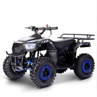China Fuel Electric Mini ATV 49cc Chain Motor Power 2WD Drive for Children's Adventure for sale