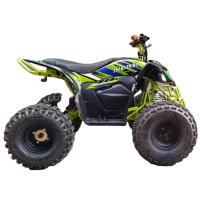 China 1130*590*730mm EEC Spy Racing Atv Highly 800w 4x4 Electric Go Karts for Kids and Adults for sale
