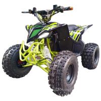 China 1130*590*730mm EEC Spy Racing Atv Highly 800w 4x4 Electric Go Karts for Kids and Adults for sale