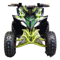 China 1130*590*730mm EEC Spy Racing Atv Highly 800w 4x4 Electric Go Karts for Kids and Adults for sale