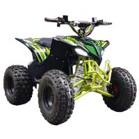 China 500-800W Electric ATV 4x4 Motor 36V 72V for Kids and Adults Design Shaft Drive Quad for sale