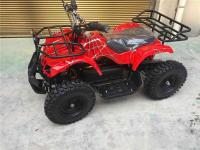 China Chain Drive Electric ATV Quad Bike for Adults and Kids 36V 500W 800W 72V 2000W 2200W for sale