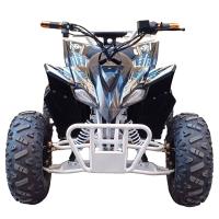 China 500-800W 60V Shaft Drive Sports 4 Wheeler ATV Electric Quad Bike for Kids Adult for sale