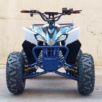 China 500-800W 60V Shaft Drive Sports 4 Wheeler ATV Electric Quad Bike for Kids Adult for sale