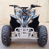 China 500-800W 60V Shaft Drive Sports 4 Wheeler ATV Electric Quad Bike for Kids Adult for sale