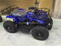China 125cc Off Road ATV Quad Bike with Customizable Design and ≤10L Fuel Tank Capacity for sale