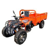 China 800 1000W 2 Cylinder Water-Cooled ATV 250CC 4X4 Off Road Buggy with Cargo Buckets for sale