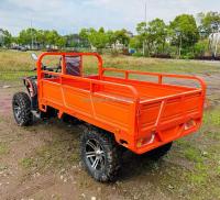 China 800 1000W 2 Cylinder Water-Cooled ATV 250CC 4X4 Off Road Buggy with Cargo Buckets for sale