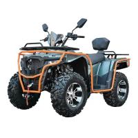 China 300CC Four Wheeler ATV 4x4 Quad Bike Buggy UTV for Off-Roading Maximum Speed ≥100Km/h for sale