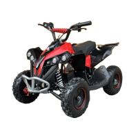 China Electric ATV 36V 800W 48V 1000W Buggy Quad Bike for Kids and Adults for sale