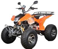 China 4 Wheel 250cc ATV 4x4 Quad Bike for Adult or Child Maximum Speed 50-75Km/h 1130*590*730mm for sale